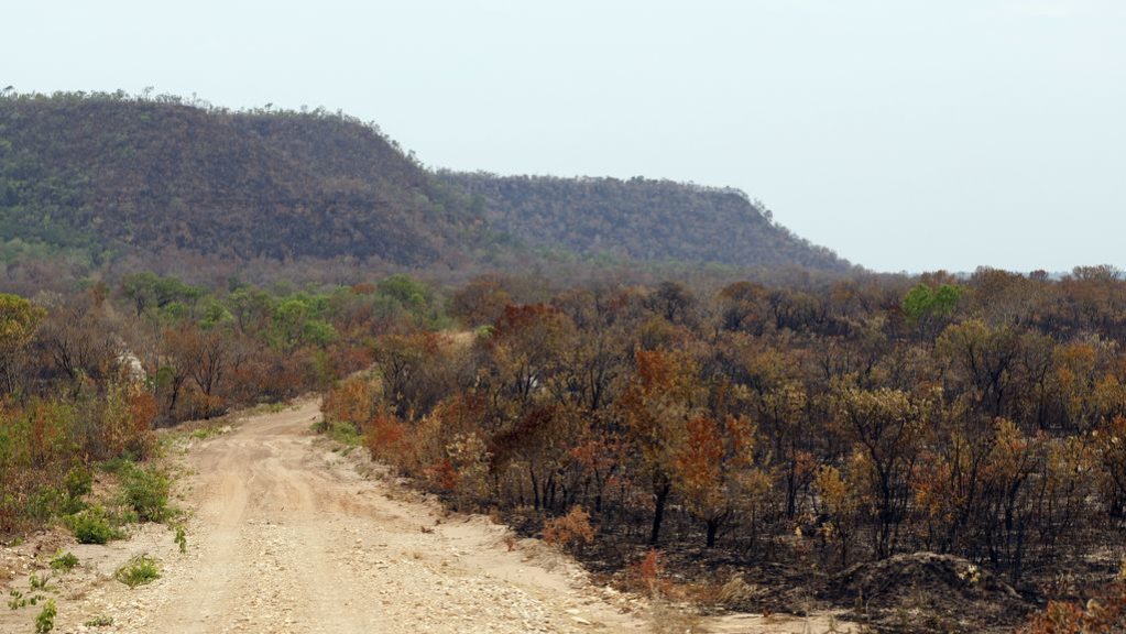 Representação do Cerrado em modelo global aprimora previsões sobre o ...